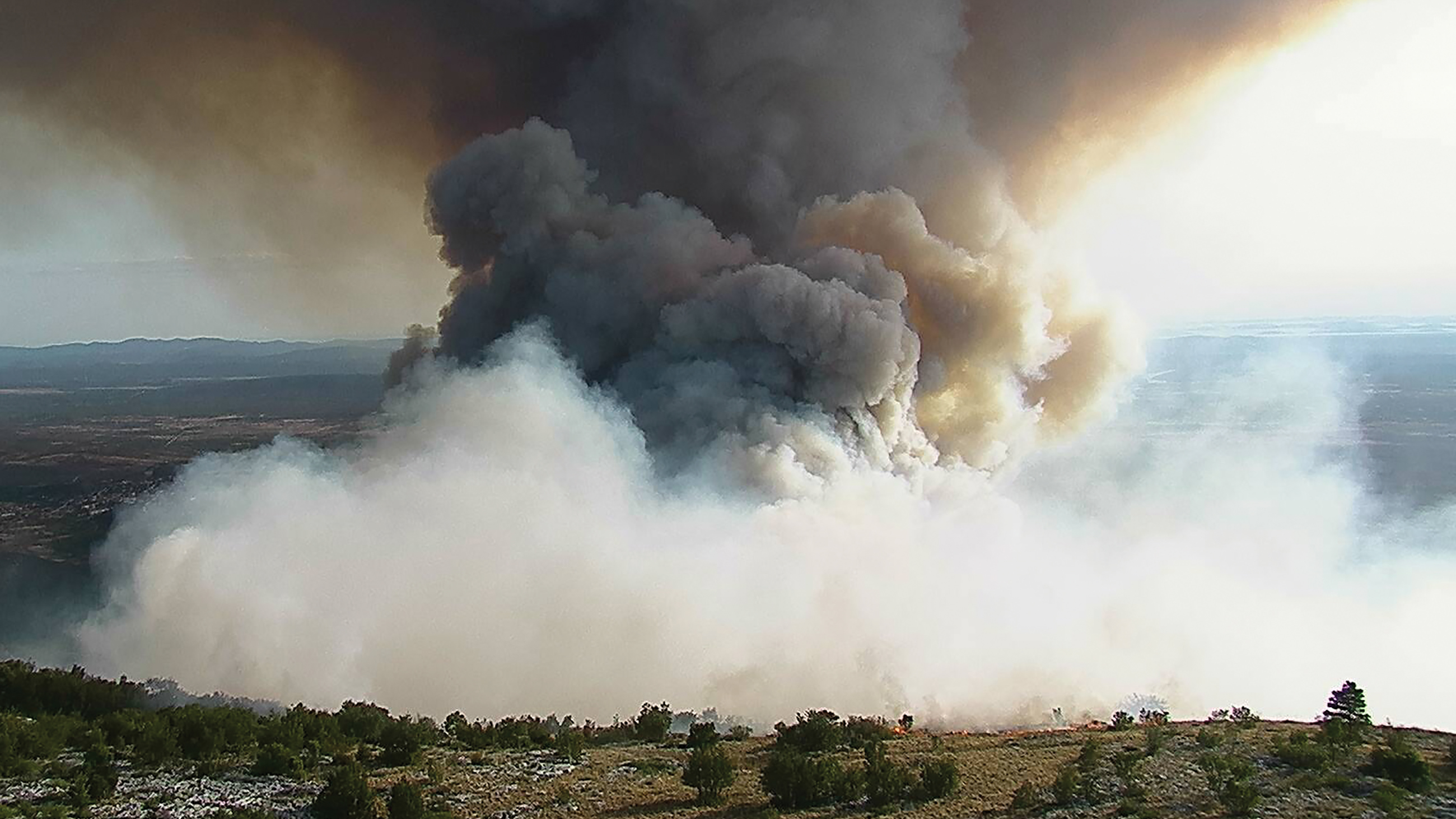 Fighting fire with cameras – an innovative and logical step forward ...