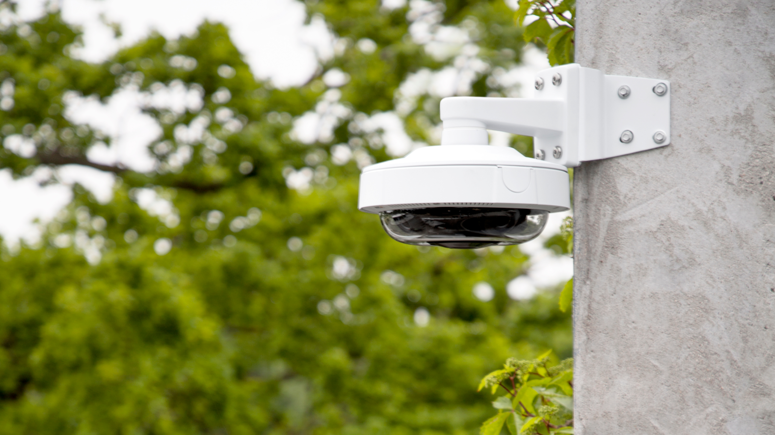 Environmentally responsible surveillance: 3 key considerations | Axis ...