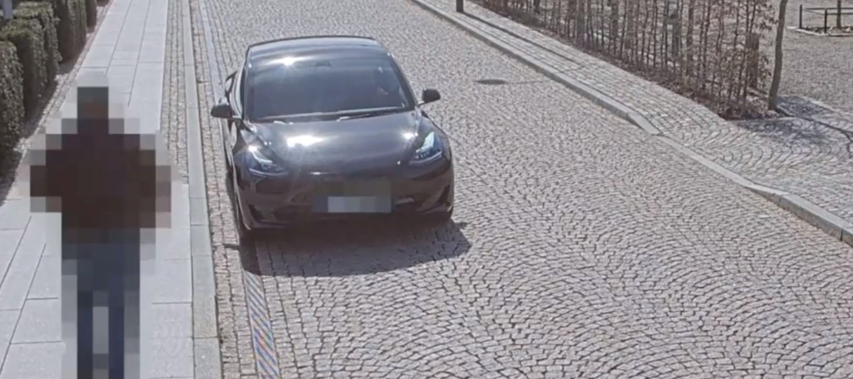 AXIS Live Privacy Shield – now with license plate masking | Axis ...